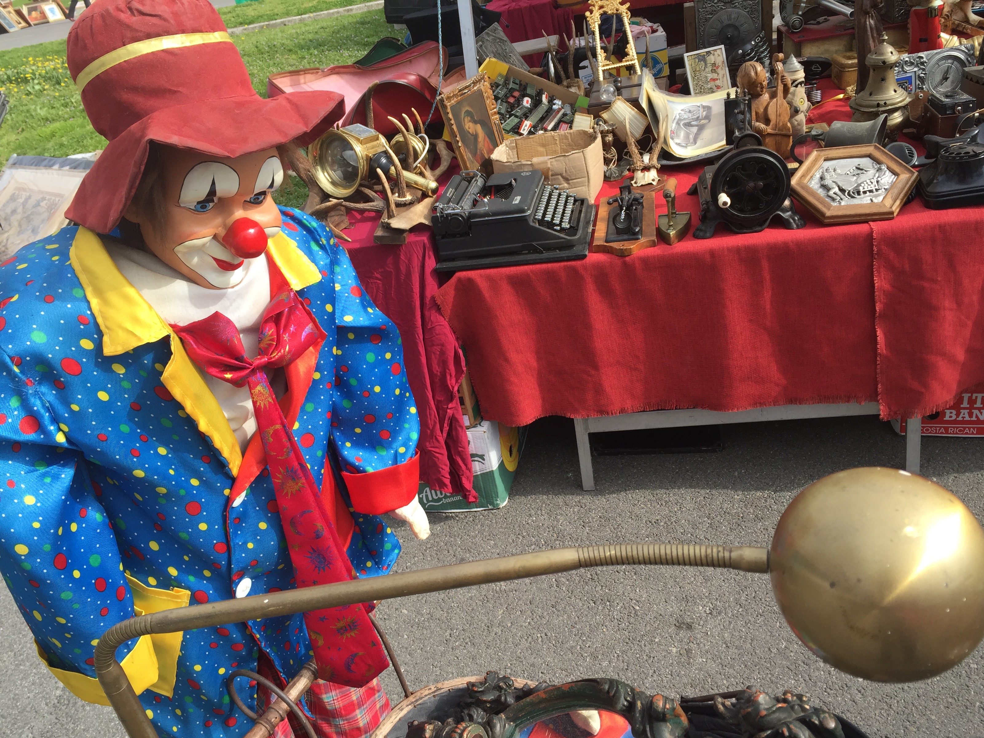 Filozofia greierului din zilele noastre – Iulia Miclea